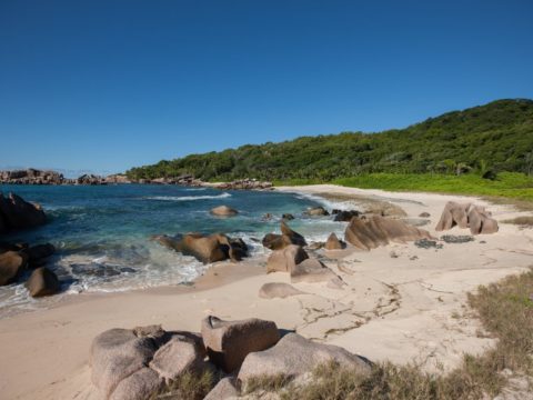 Grand Anse - Seychelles Tour Booking